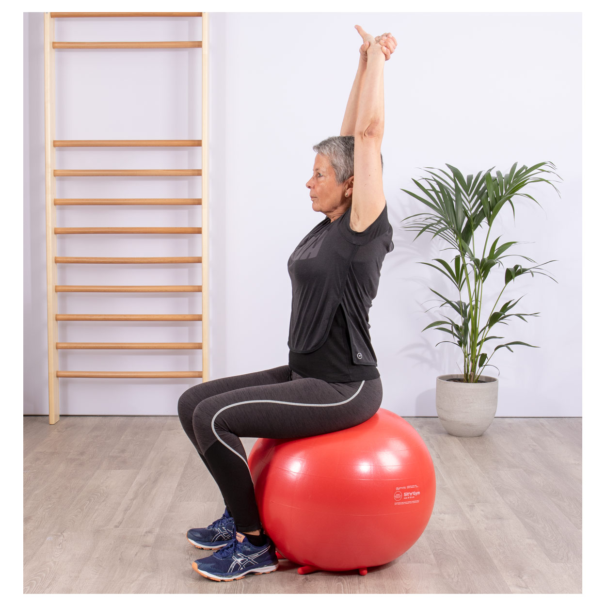 Sit'n Gym Sitzball, ø 55 cm, rot günstig online kaufen | Sport-Tec